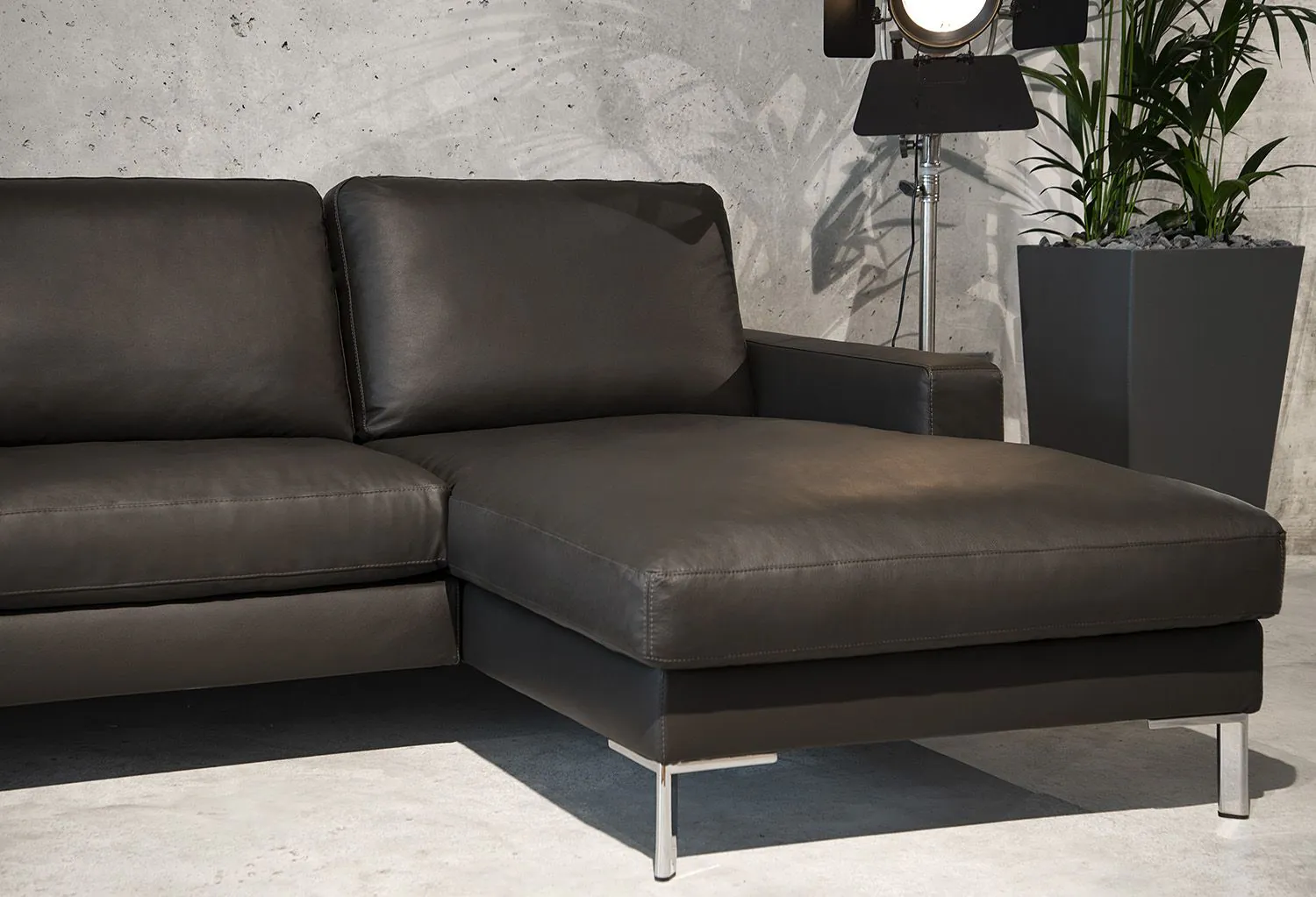 Pinedo Ledersessel Leder schwarz | VON WILMOWSKY